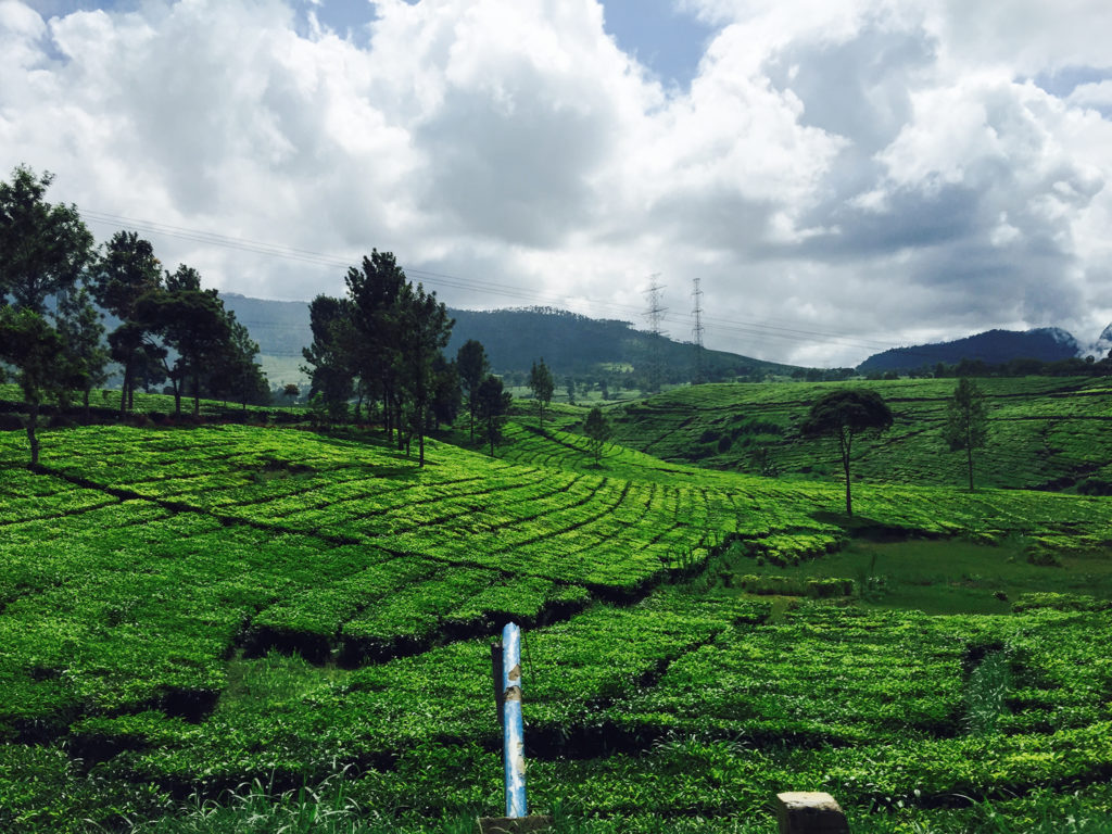 Greenhouse Gas Emissions Wayang Windu Project - Maxol