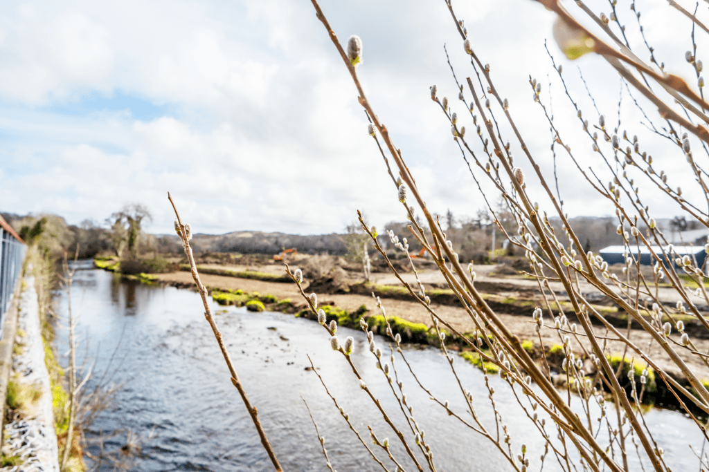 Maxol and TCV Kick Off Tree Planting at Northern Ireland Nursery - Maxol